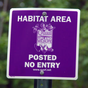 The Psychology of Color in Signage – Speedy Signs Blog